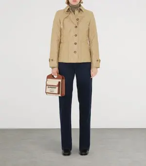 Burberry Mini Canvas Pocket Bag