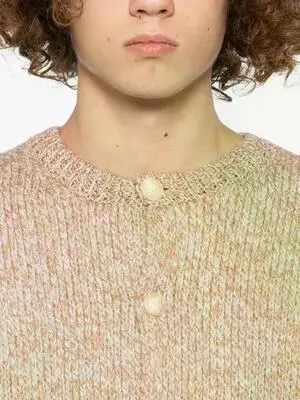 Auralee Gauge Crew-neck Cardigan
