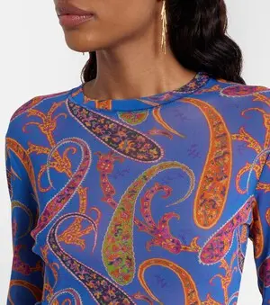 Etro Semi-sheer Velvet-trimmed Tulle Top