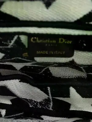 Dior Embroidered Canvas Stars Saddle Bag
