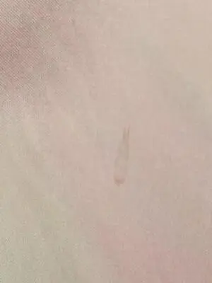 Chloé Satin Top