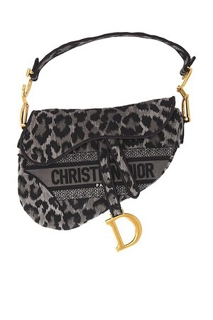 Dior Mizza Embroidered Saddle Bag