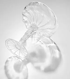 ALEXANDER KIRKEBY Crystal Champagne Coupe