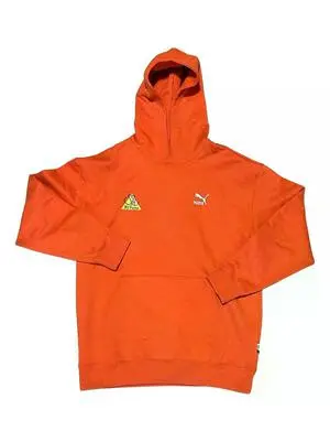 PUMA The Neverworn Ii Hoodie - Orange