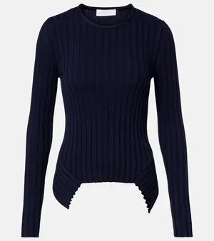 Stella McCartney Ribbed Cotton Sweater Blue