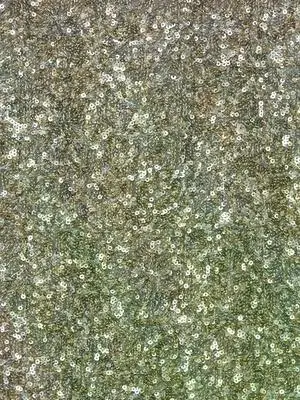 Zadig&Voltaire Sequinned Straight Skirt With Rear Slit