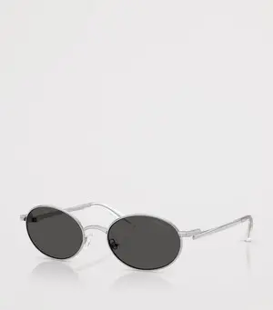 SWAROVSKI Oval Embellished Sunglasses - Silver