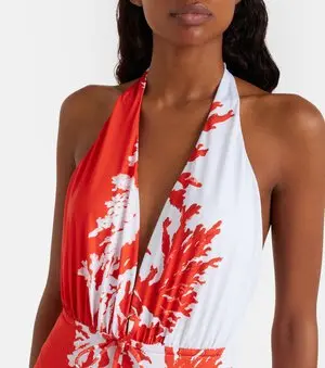 ALEXANDRA MIRO Willow Printed Halterneck One-piece Swimsuit