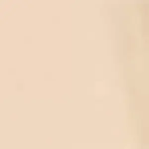 Miu Miu Acetate Oversized Round Sunglasses - Brown