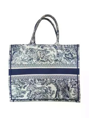 Dior Small Book Tote Bag