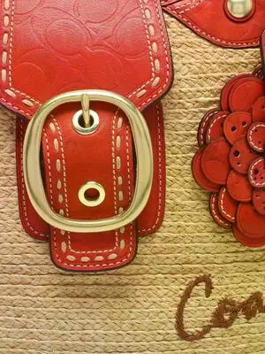 COACH VINTAGE Buckle Tote Bag