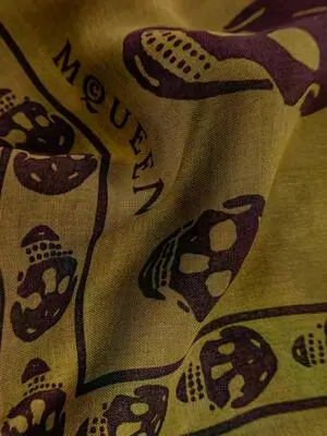 Alexander McQueen Skull-print Scarf - Brown