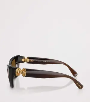 SWAROVSKI Sk6047 Cat Eye Sunglasses - Brown