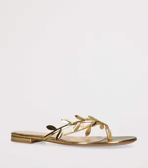 GIANVITO ROSSI Laurel Detail Flavia Flip-flops - Brown