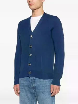Brunello Cucinelli Buttoned V-neck Cardigan - Blue