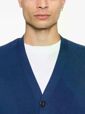Brunello Cucinelli Buttoned V-neck Cardigan