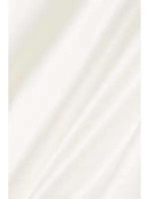 Brandon Maxwell Open-back Silk-charmeuse Halterneck Gown