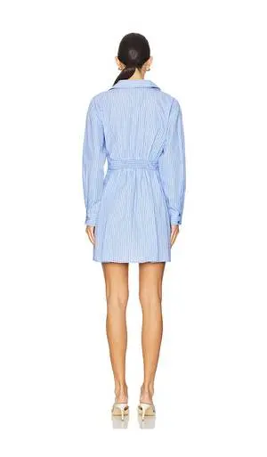 Steve Madden Aria Dress