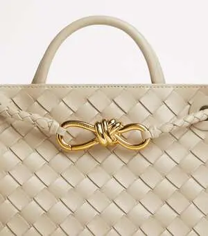 Bottega Veneta Small Andiamo Top Handle Bag