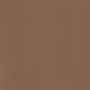 Prada Acetate Rectangle Sunglasses - Brown
