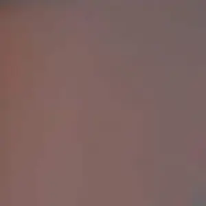 Prada Acetate Rectangle Sunglasses - Brown