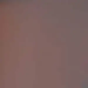 Prada Acetate Rectangle Sunglasses - Brown
