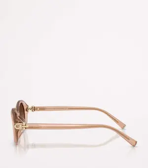 Tiffany & Co. Oval Acetate Sunglasses - Beige