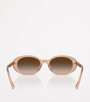 Tiffany & Co. Oval Acetate Sunglasses - Beige