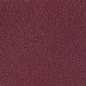 Balenciaga Calfskin Rodeo Card Holder - Red