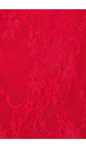 Amanda Uprichard Evianna Lace Dress