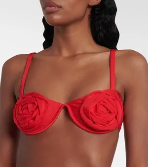 ADRIANA DEGREAS Floral Appliqué Bikini