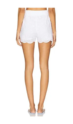 Beach Riot Aurelia Short In . Also