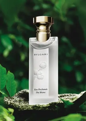 BVLGARI Eau Parfumee The Blanc