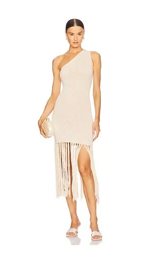 Rails Antonia One Shoulder Dress - Brown