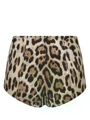 Dolce & Gabbana Leopard-print High-waisted Bikini Bottom - Brown