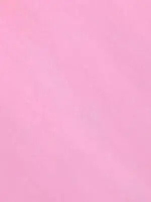 Acne Studios Logo-tag Frayed-edge Scarf - Pink