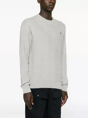 Polo Ralph Lauren Polo Pony Embroidered Cotton Jumper