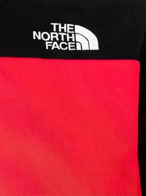 Supreme X The North Face Rtg Fleece Jacket