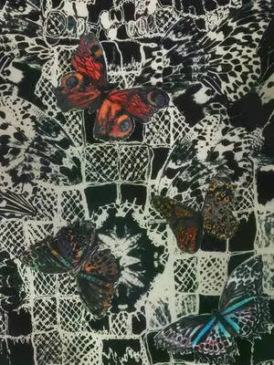 Zadig&voltaire Printed Scarves
