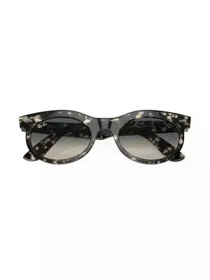 Ray-ban Wayfarer Oval Sunglasses - Grey
