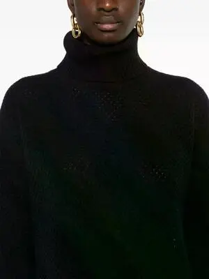 Fabiana Filippi Open-knit Roll Neck Sweater