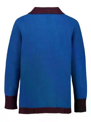 PAULA Embroidered V-neck Sweater