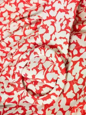 Evarae Cassandra Floral Print One-piece Swimsuit - Red