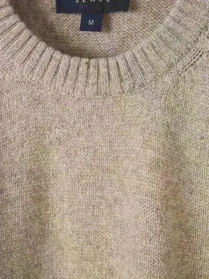 Sease Virgin Wool Crew Neck Jumper