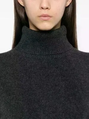 NILI LOTAN Hollyn Fine Knit Lambswool Roll Neck Sweater