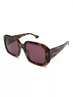 Chloé Oversized-frame Sunglasses - Brown