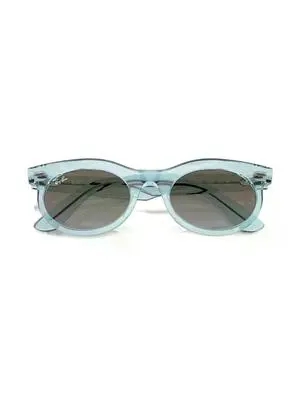 Ray-ban Wayfarer Oval Sunglasses