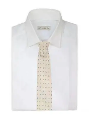 Etro Paisley Embroidered Neck Tie - Neutrals