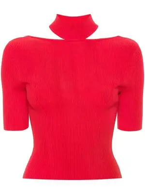 Cult Gaia Ribbed High Neck Top