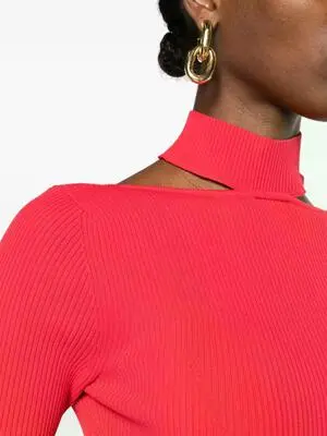 Cult Gaia Ribbed High Neck Top